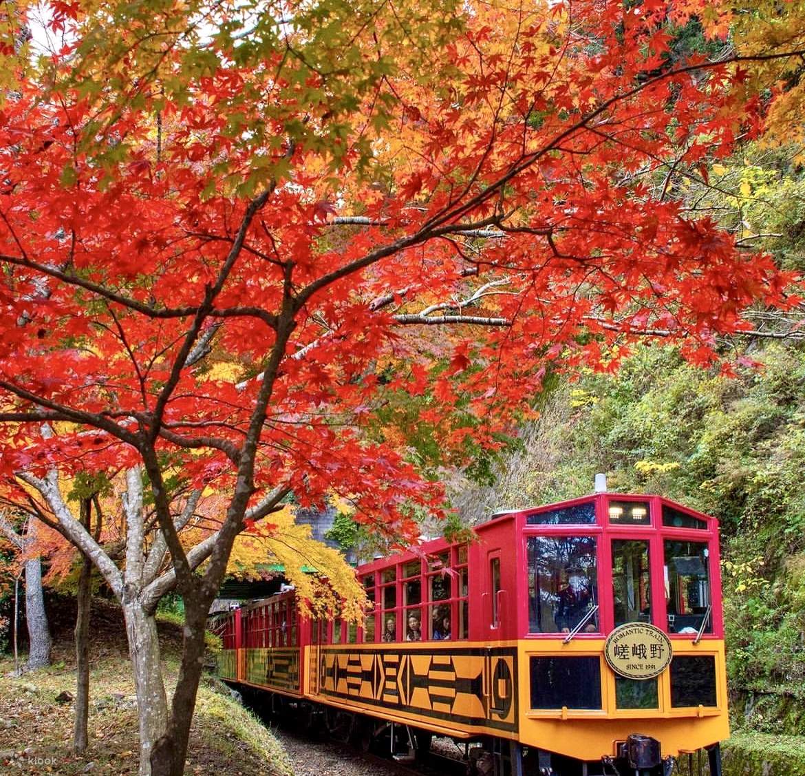 [Kyoto Nara Arashiyama Sagano Scenic Railway Cherry Blossom One-Day Tour] Hotel Pick-up ...